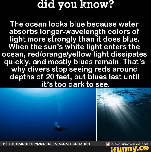 Wavelength Memes