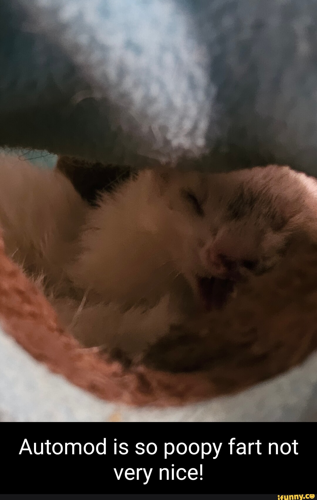 Poopy memes. Best Collection of funny Poopy pictures on iFunny