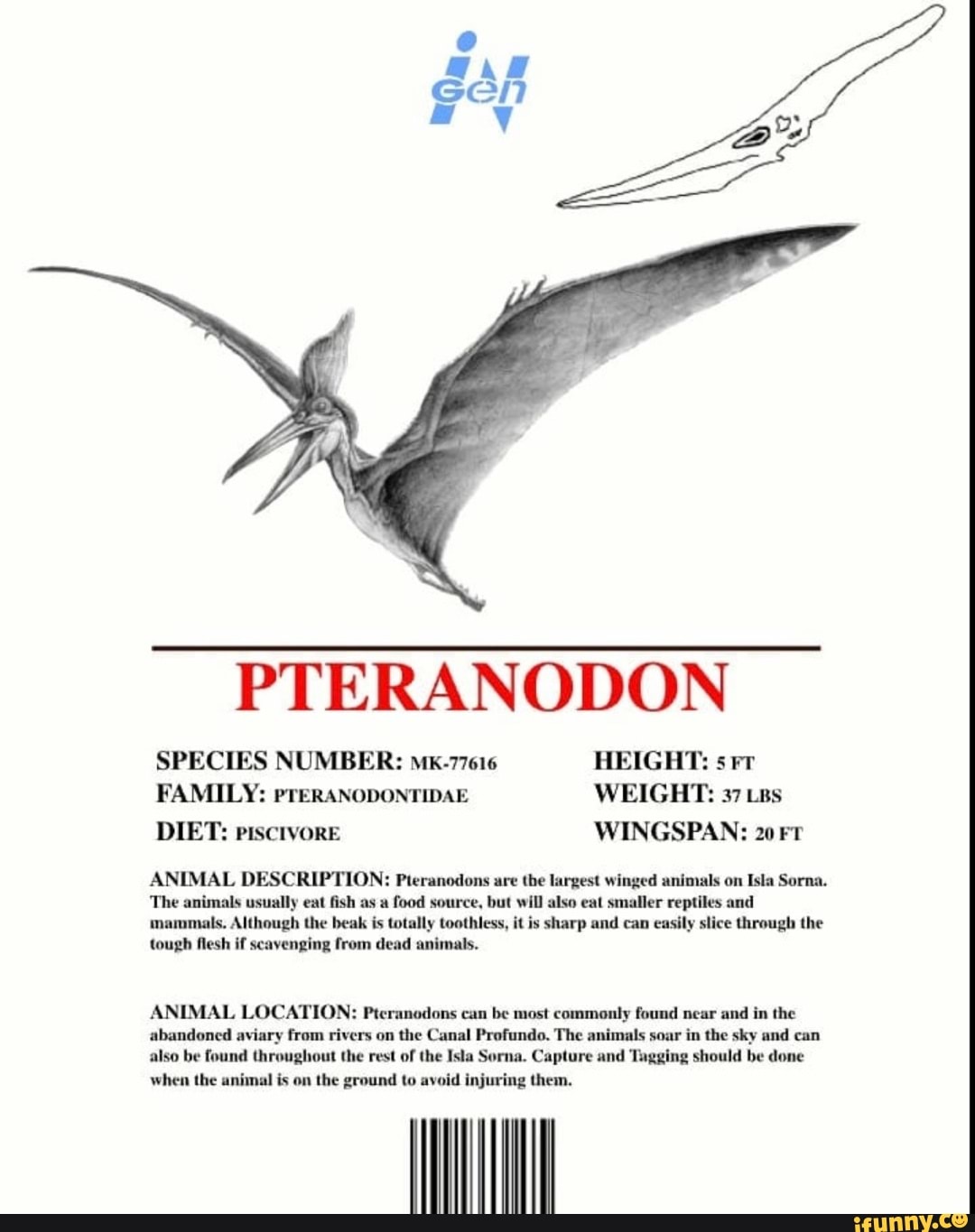 PTERANODON SPECIES NUMBER: MK-77616 HEIGHT: s rr FAMILY ...