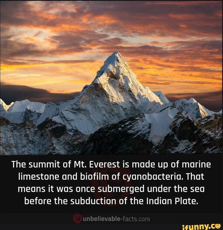 The summit of Mt. Everest is made up of marine limestone and biofilm of ...