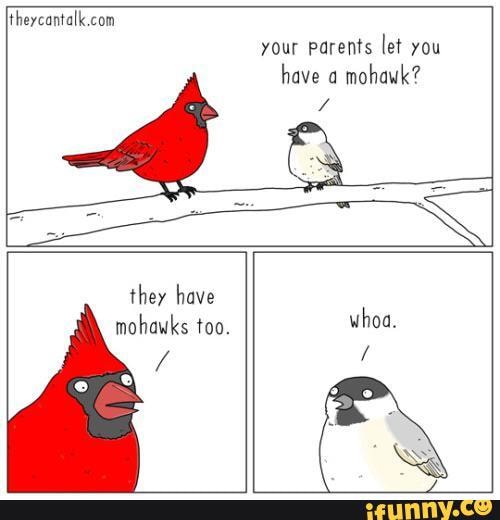 Mohawks memes. Best Collection of funny Mohawks pictures on iFunny