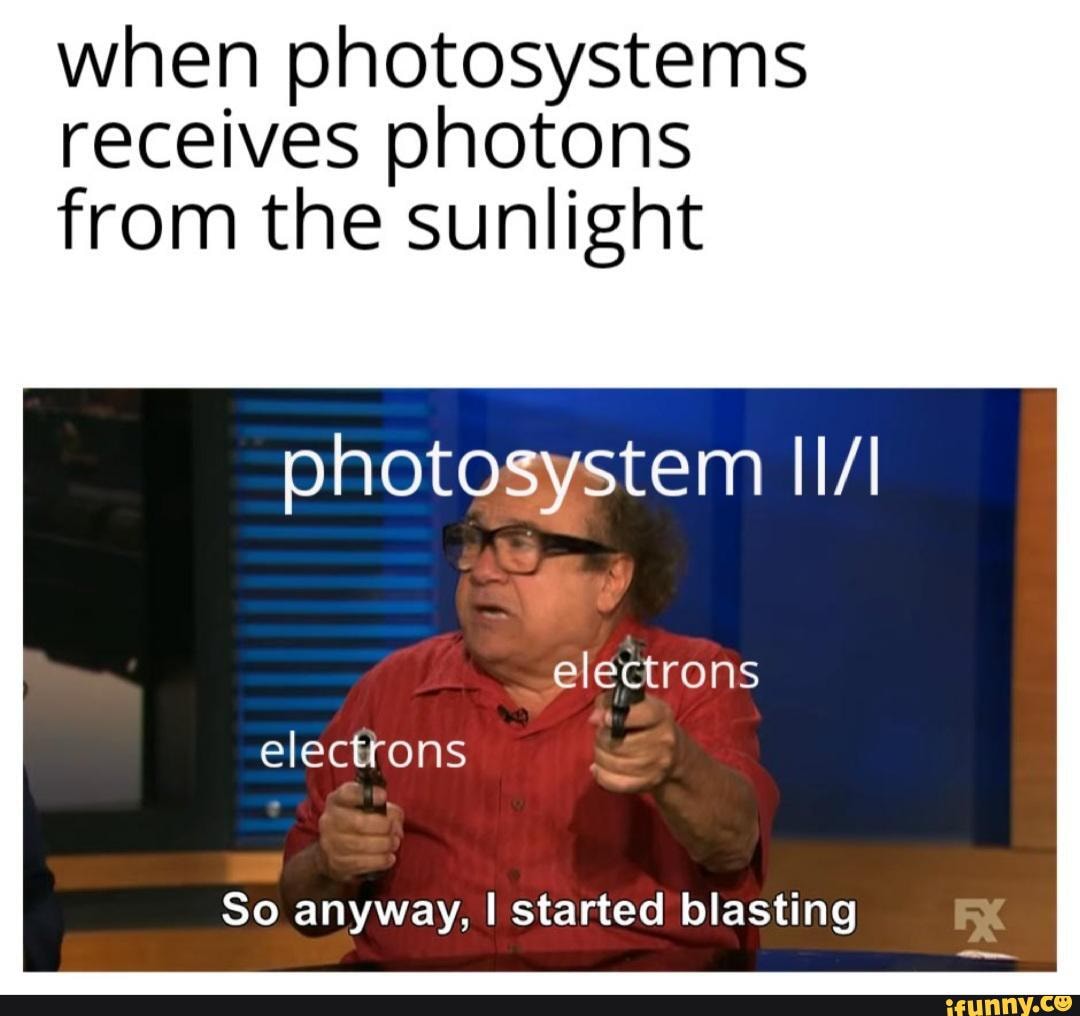 Photosystem memes. Best Collection of funny Photosystem pictures on iFunny