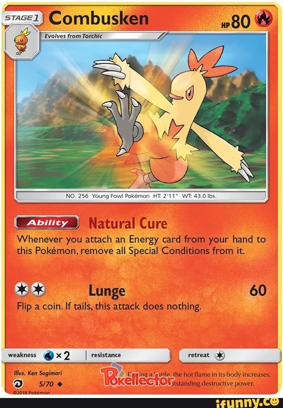 Combusken memes. Best Collection of funny Combusken pictures on iFunny