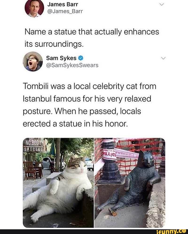 Name a statue that actually enhances its surroundings. Tombili was a ...