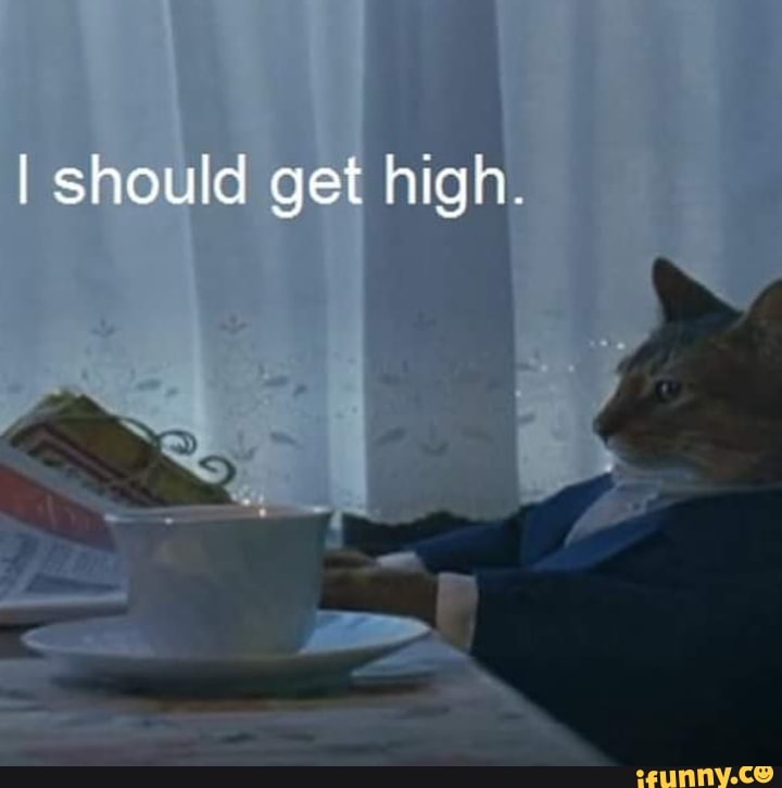 Cat I Should Get High
