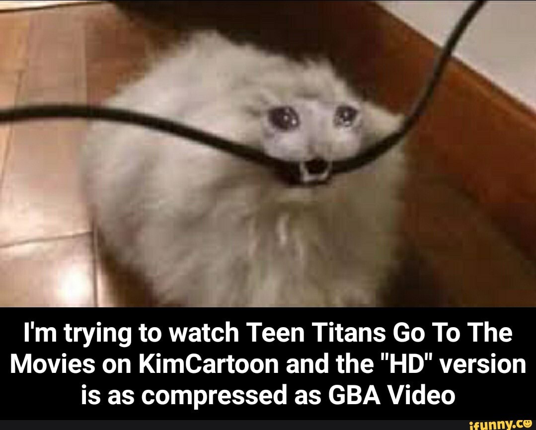 Kimcartoon memes. Best Collection of funny Kimcartoon pictures on iFunny