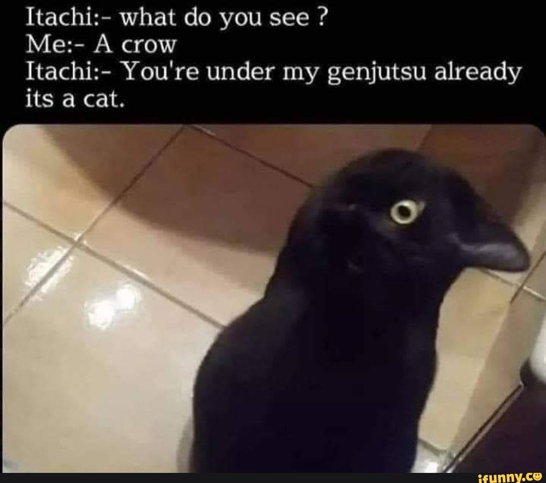 Itachi:- what do you see ? Me:- A crow Itachi:- You're under my ...