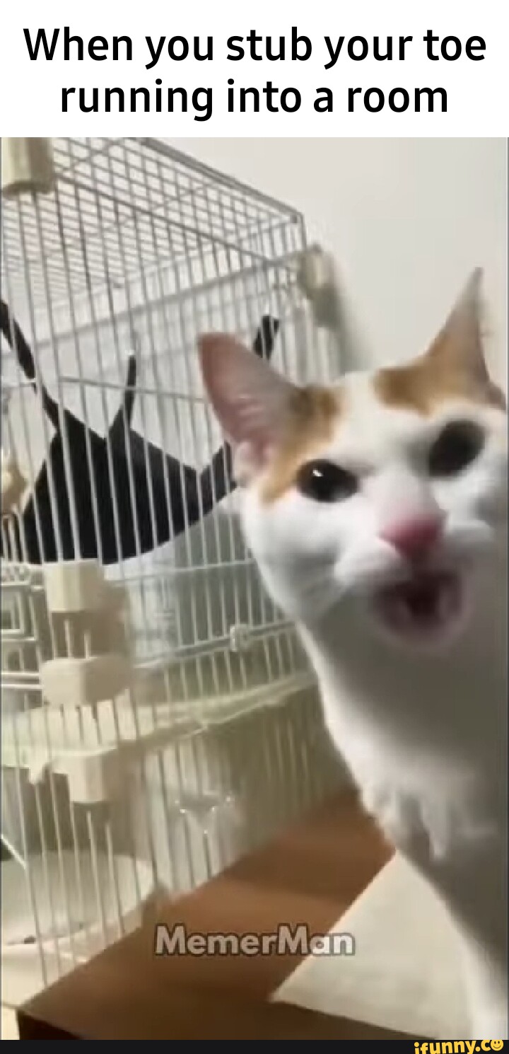 When you stub your toe running into a room - iFunny