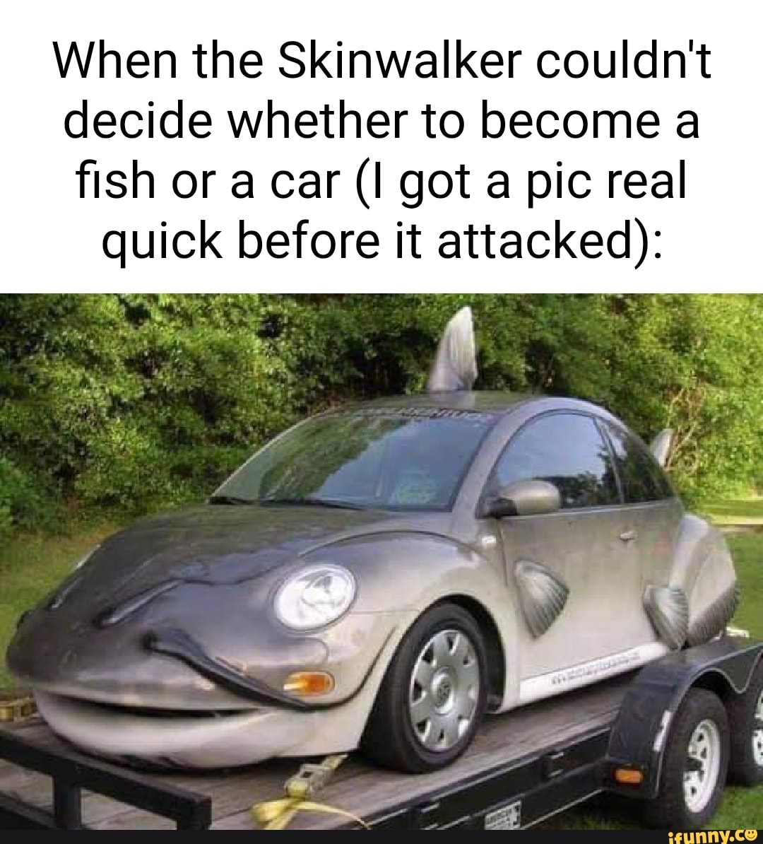 When the Skinwalker couldn't decide whether to become a fish or a car ...