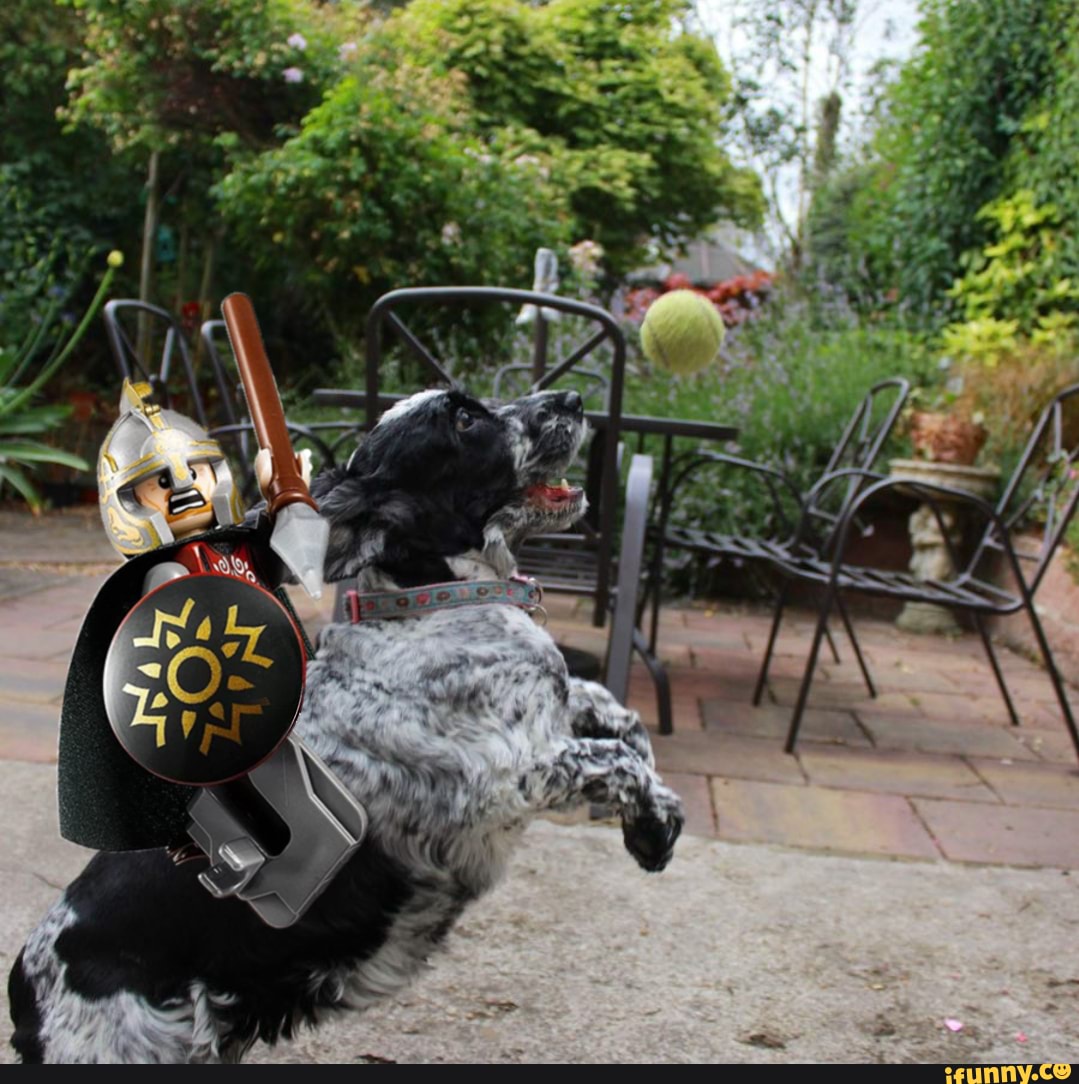 Eomer Rides a Dog - iFunny
