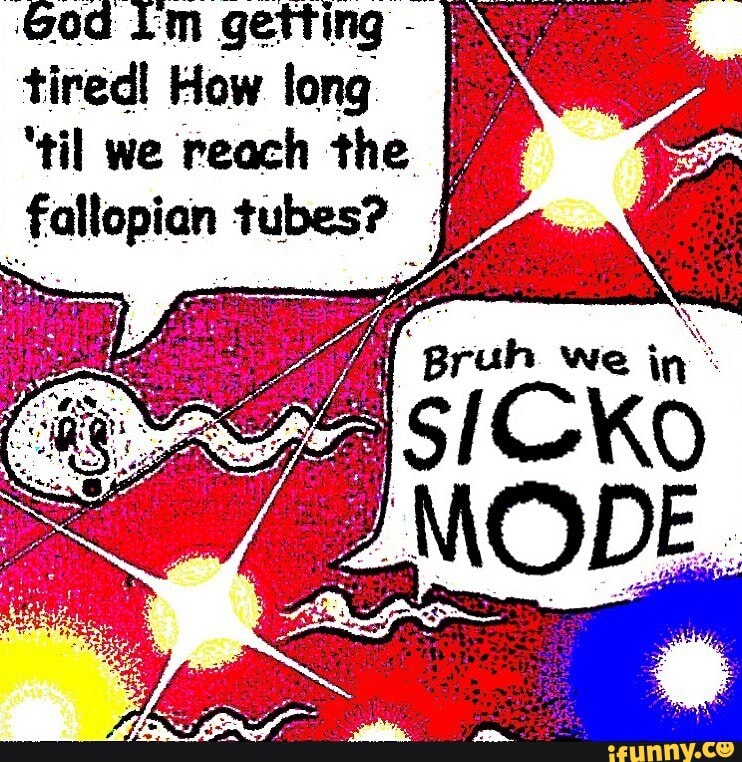 Tired! How long e "til we reach the [A fallopian tubes? - iFunny