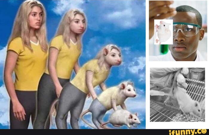 Animorphs_series memes. Best Collection of funny Animorphs_series ...