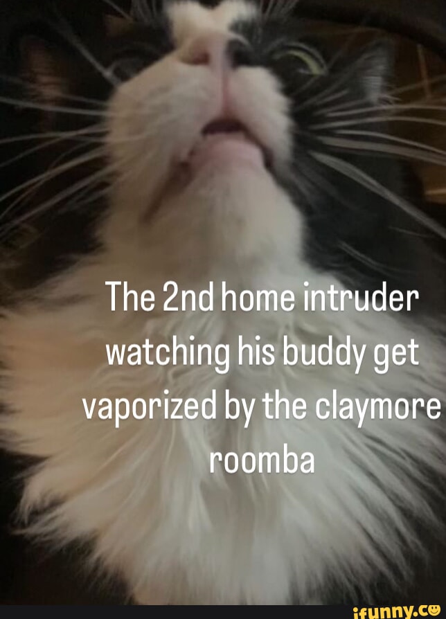 Video memes UqAoVR5PA by THE_PSYCHO_WOLF_: 7 comments - iFunny