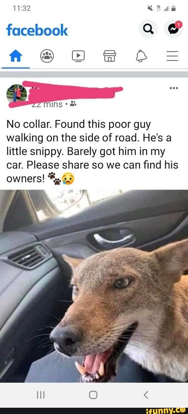 Snippy Memes #mood #fyp #forypupage #buhbye #workmood #funnymoments