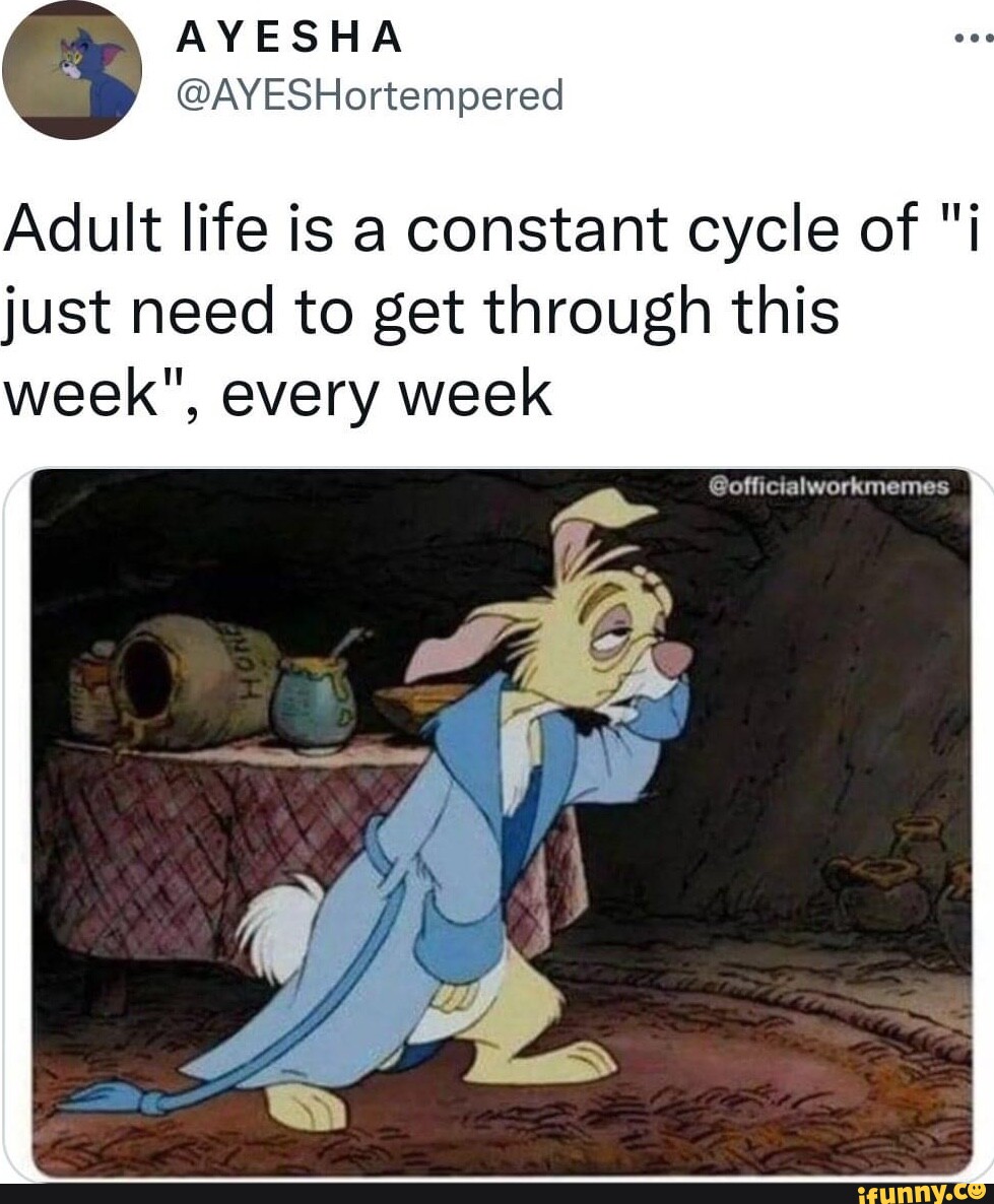 AYESHA @AYESHortempered Adult life is a constant cycle of "i just need ...