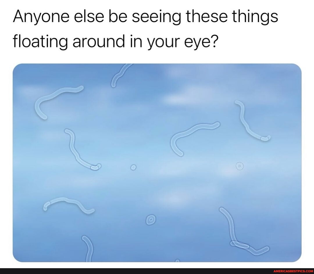 Thought it was just me #memes#viral#funny#comedy#explorepage#prank# ...