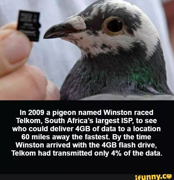 Telkom memes. Best Collection of funny Telkom pictures on iFunny