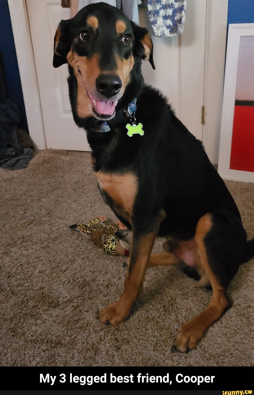 Threelegs memes. Best Collection of funny Threelegs pictures on iFunny