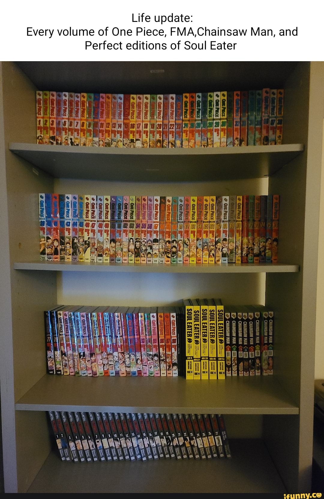Life update: Every volume of One Piece, FMA,Chainsaw Man, and Perfect ...