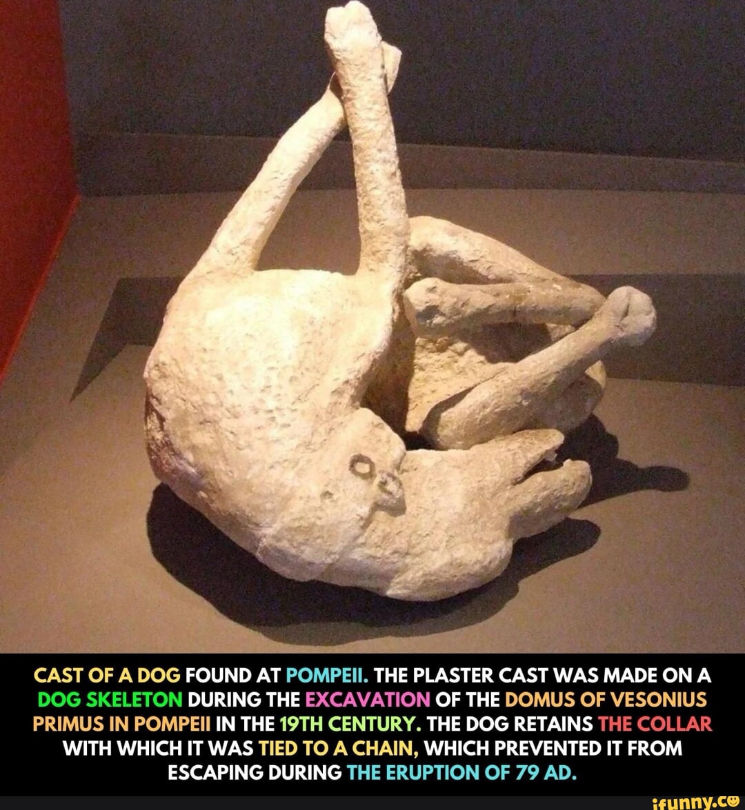 This is how close I am to losing it - iFunny