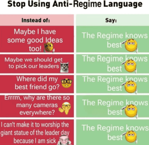 Stop Using Anti-Regime Language Say: Instead of: Maybe I have some good ...