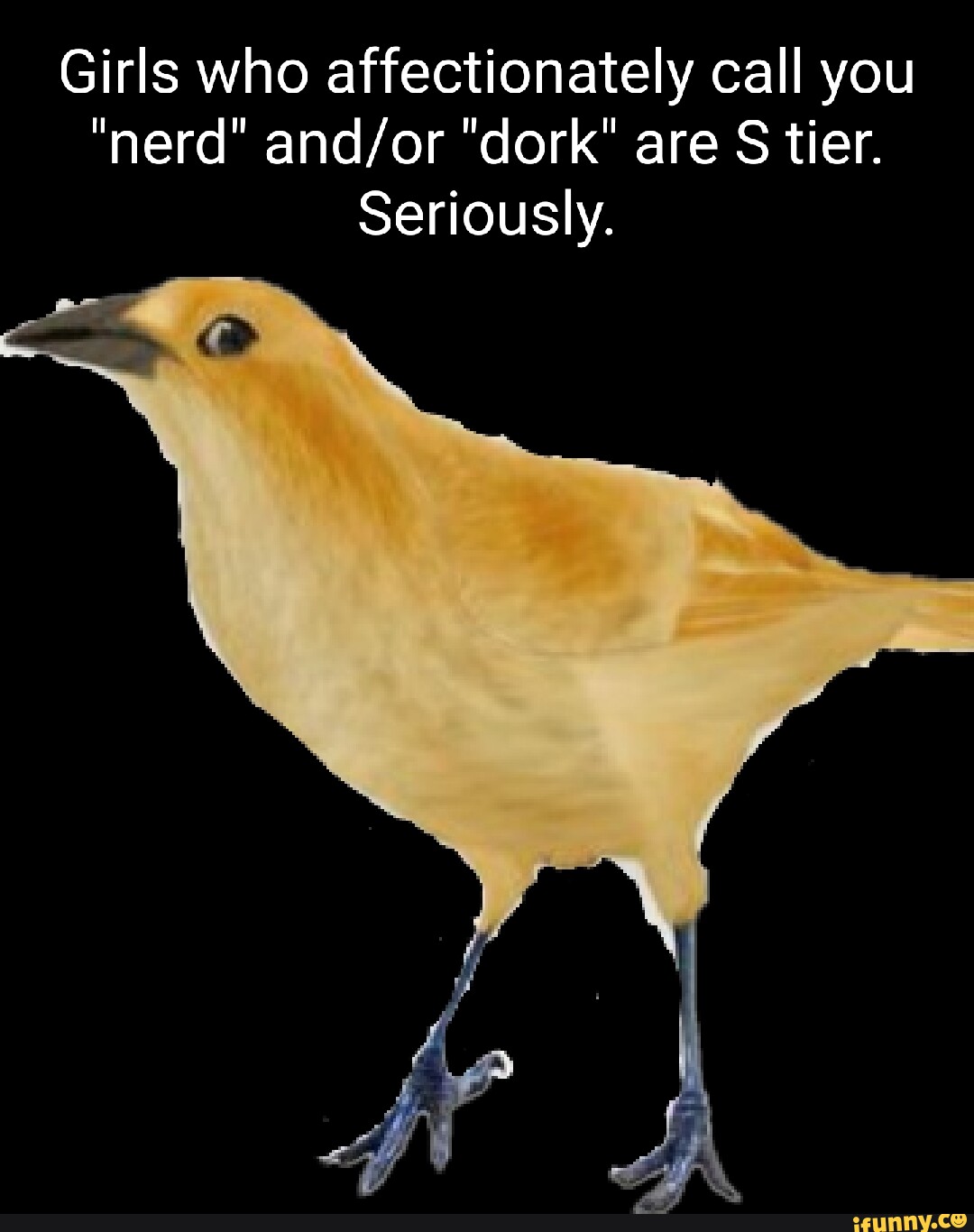 You Are A Dork
