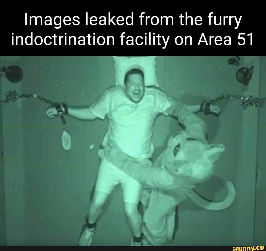 Images leaked from the furry indoctrination facility on Area 51 - iFunny