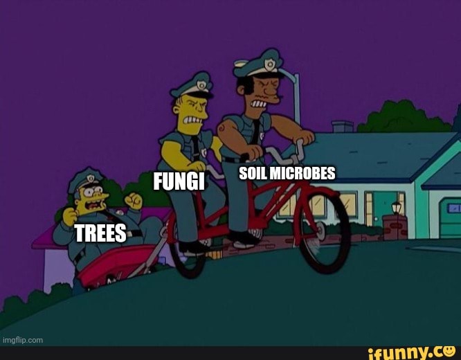 Mutualism memes. Best Collection of funny Mutualism pictures on iFunny