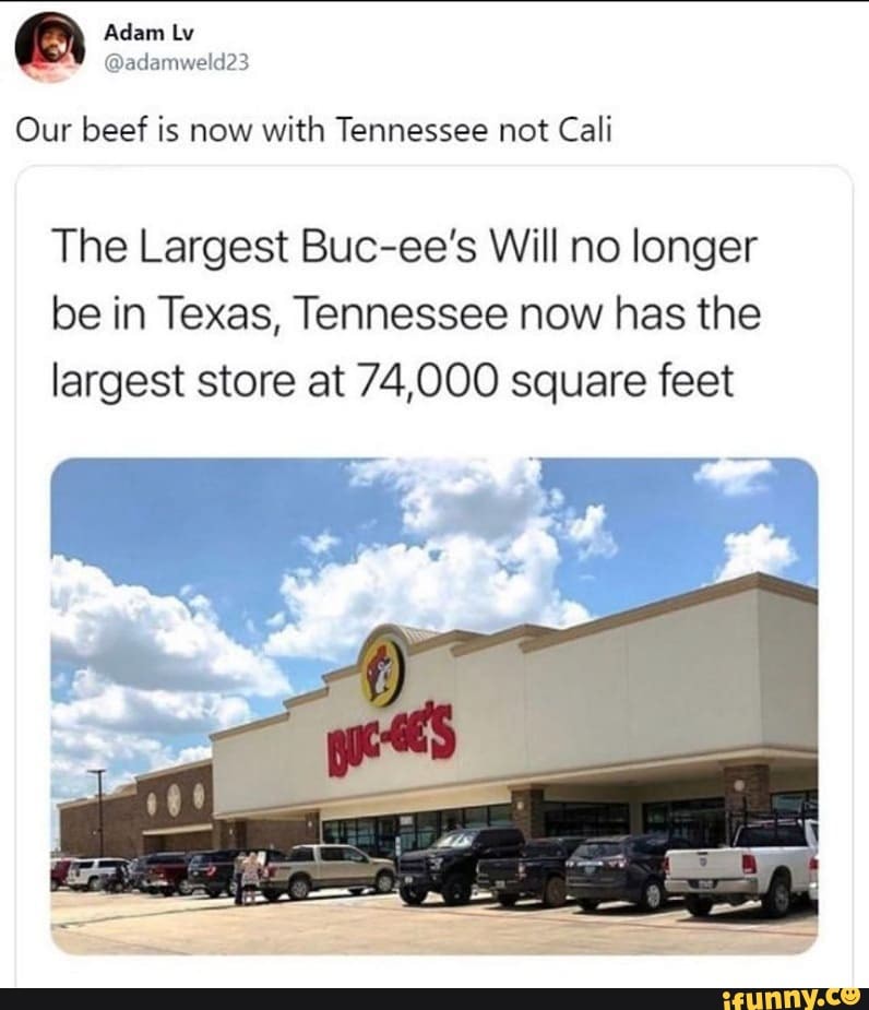 Buc memes. Best Collection of funny Buc pictures on iFunny