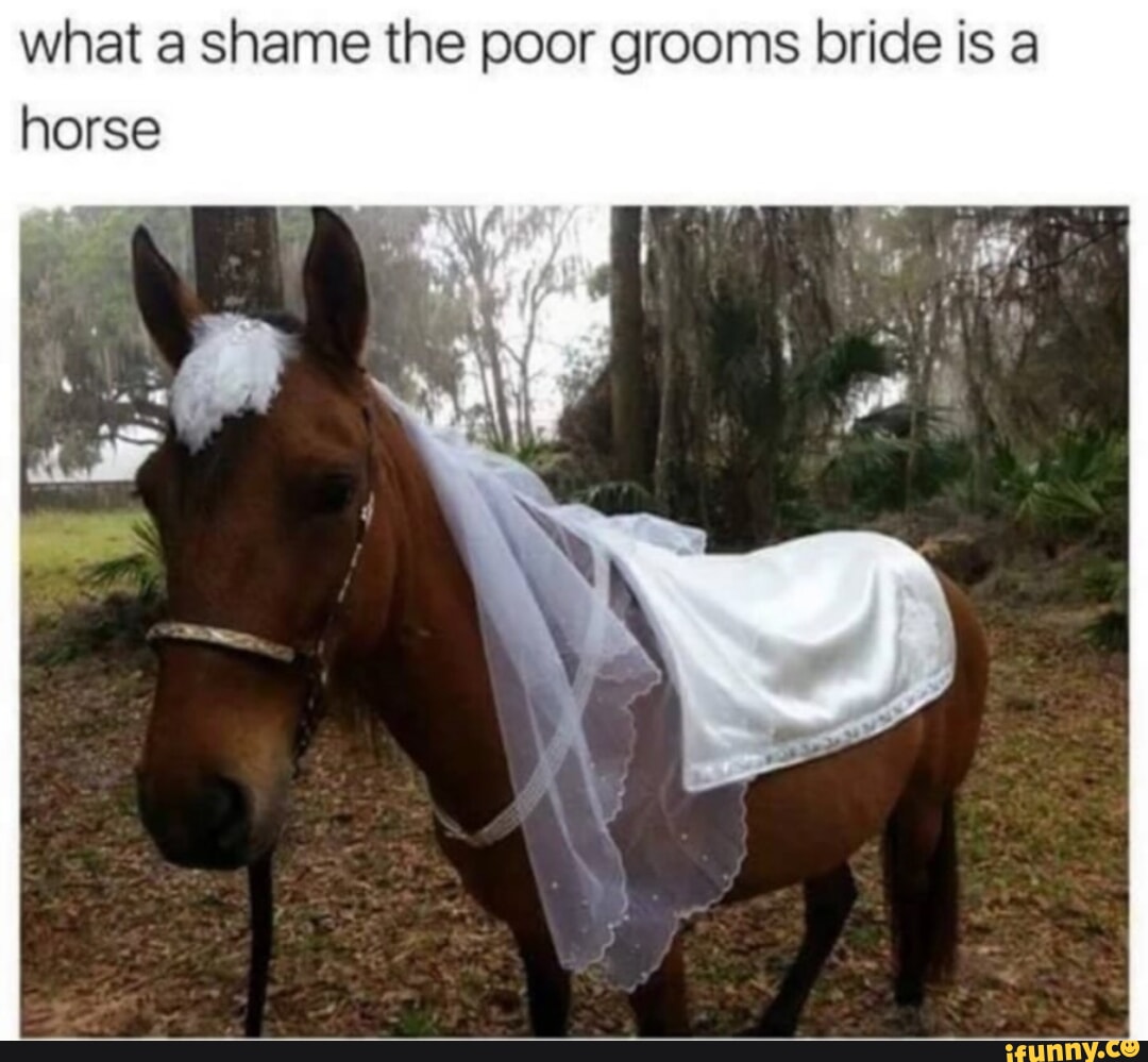 Bride memes. Best Collection of funny Bride pictures on iFunny
