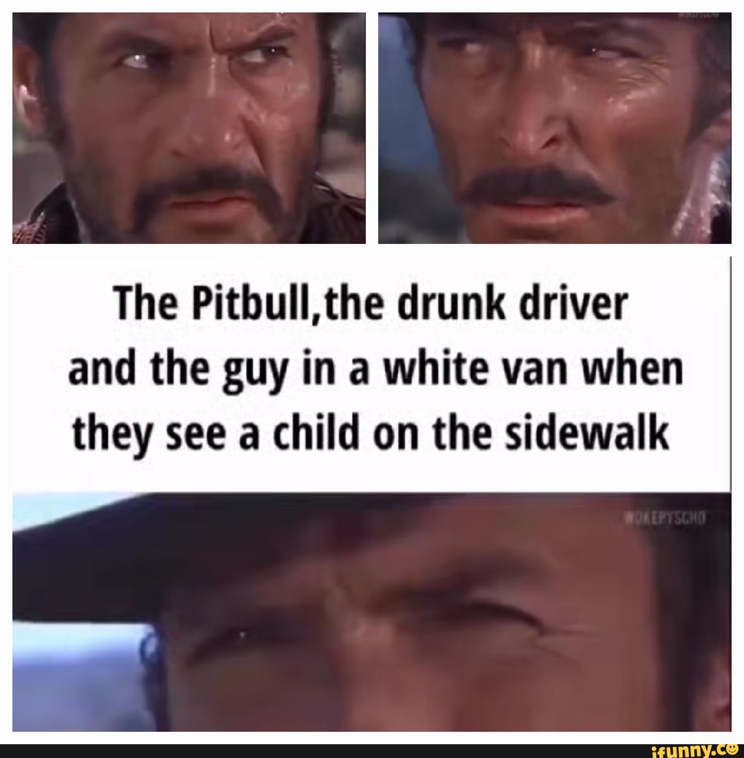 The Pitbull, the drunk driver and the guy in a white van when they see ...