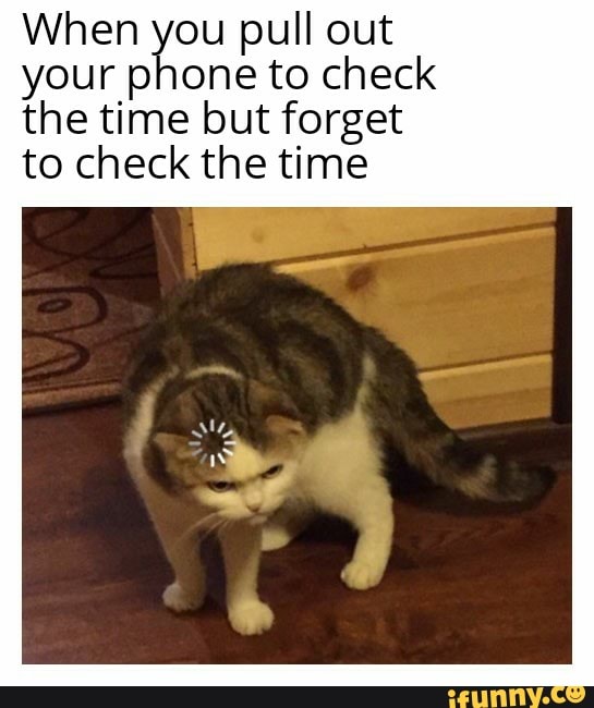 Your pki u pull out our phone to check the time but forget to check the ...