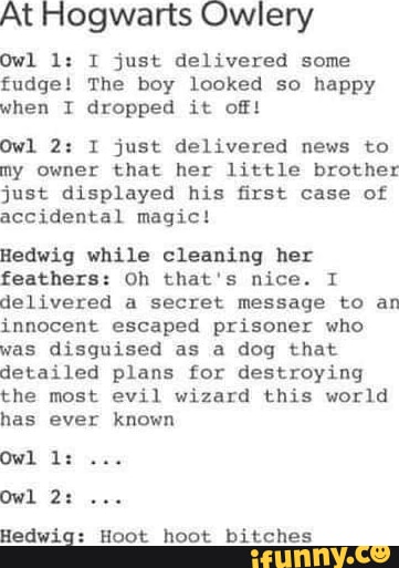 Hedwig memes. Best Collection of funny Hedwig pictures on iFunny