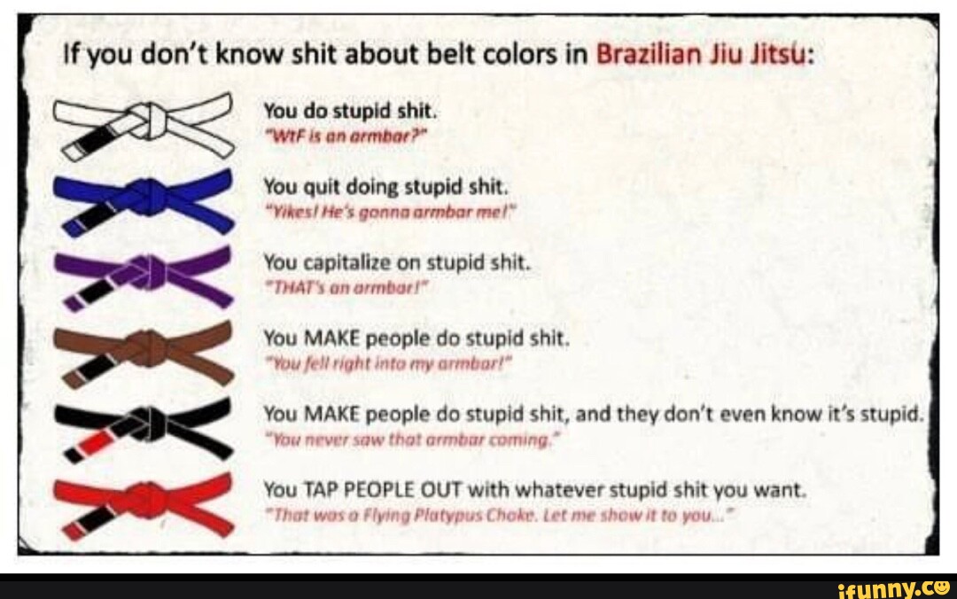 If you don't know shit about belt colors in Brazilian Jiu Jitsu: You do ...