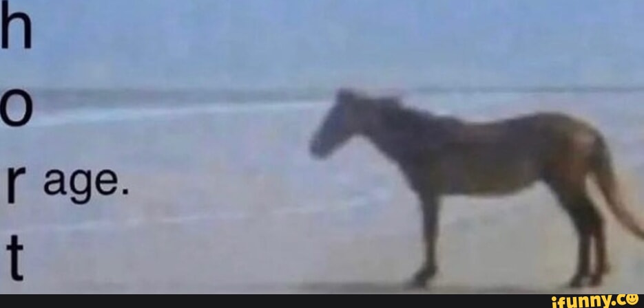 Horseonbeach memes. Best Collection of funny Horseonbeach pictures on ...