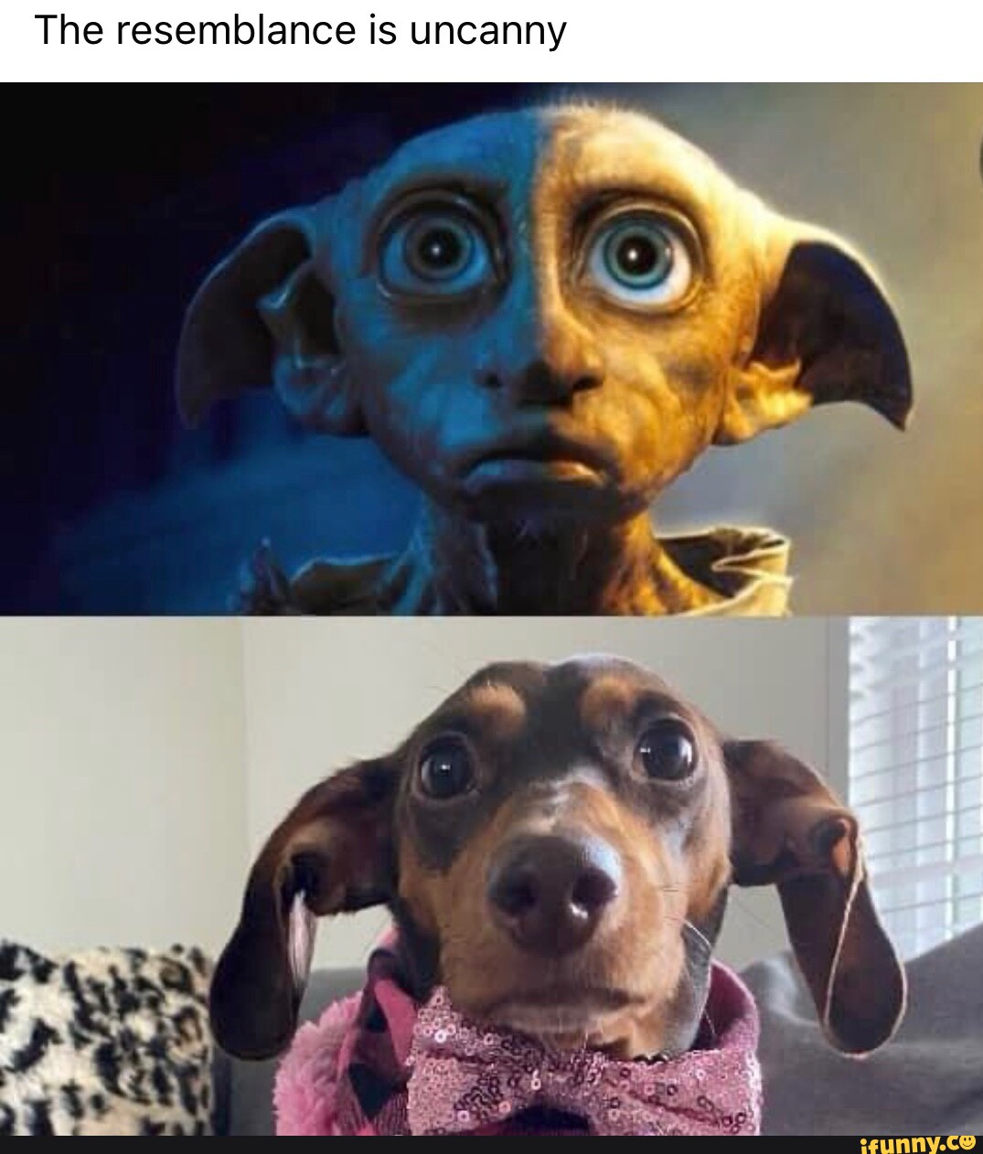 The resemblance is uncanny - iFunny