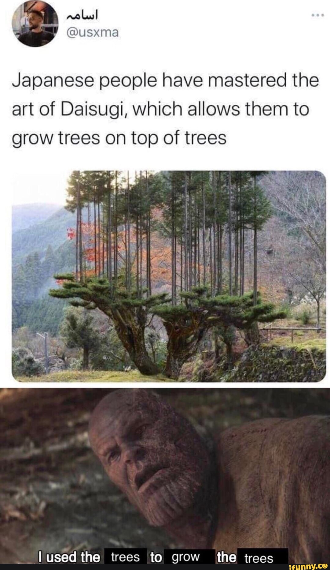 Daisugi memes. Best Collection of funny Daisugi pictures on iFunny