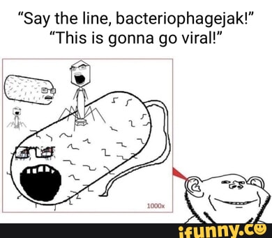 "Say the line, bacteriophagejak!" "This is gonna go viral!" - iFunny
