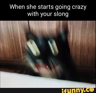 Slong memes. Best Collection of funny Slong pictures on iFunny