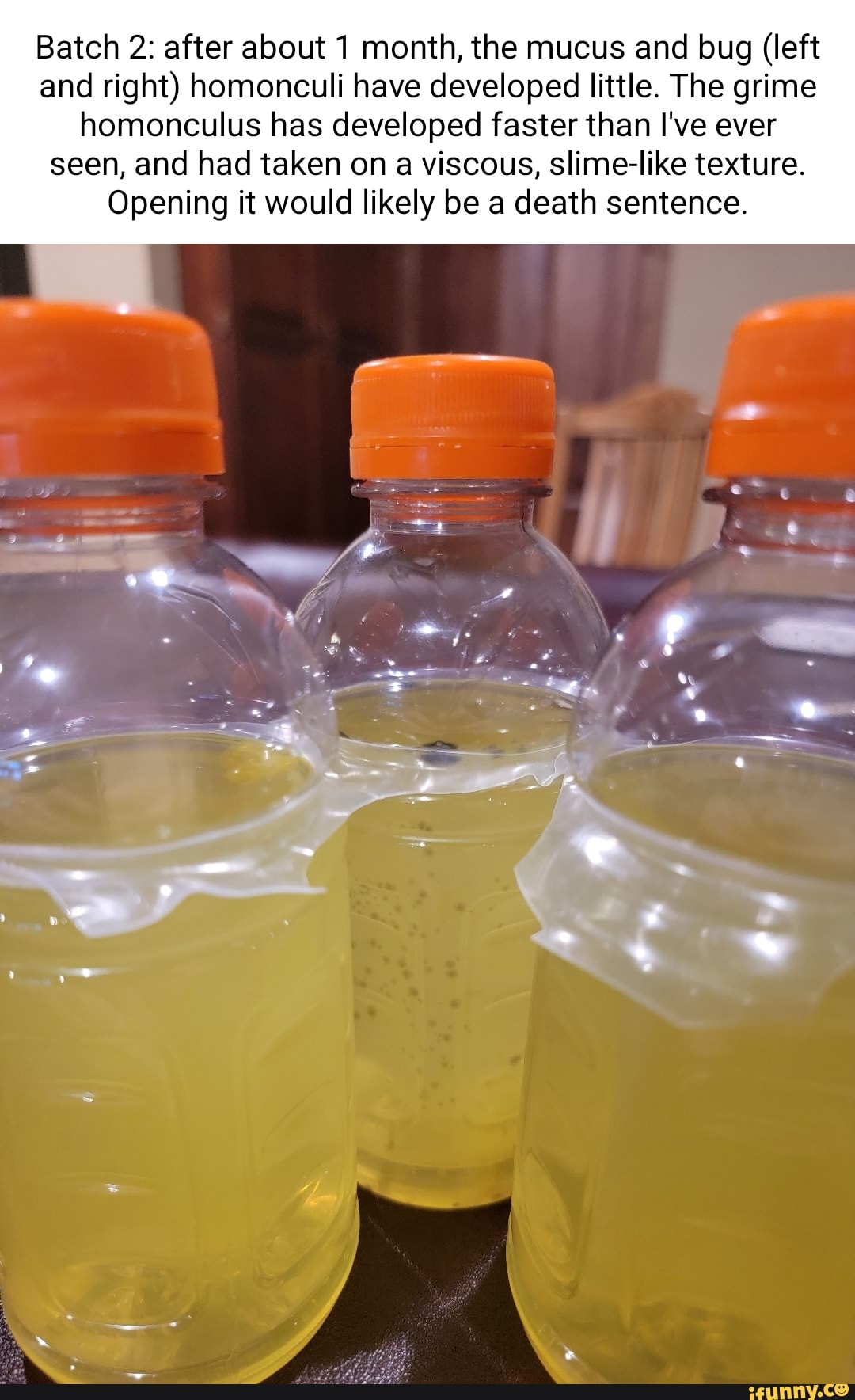 Batch 2: after about 1 month, the mucus and bug (left and right ...