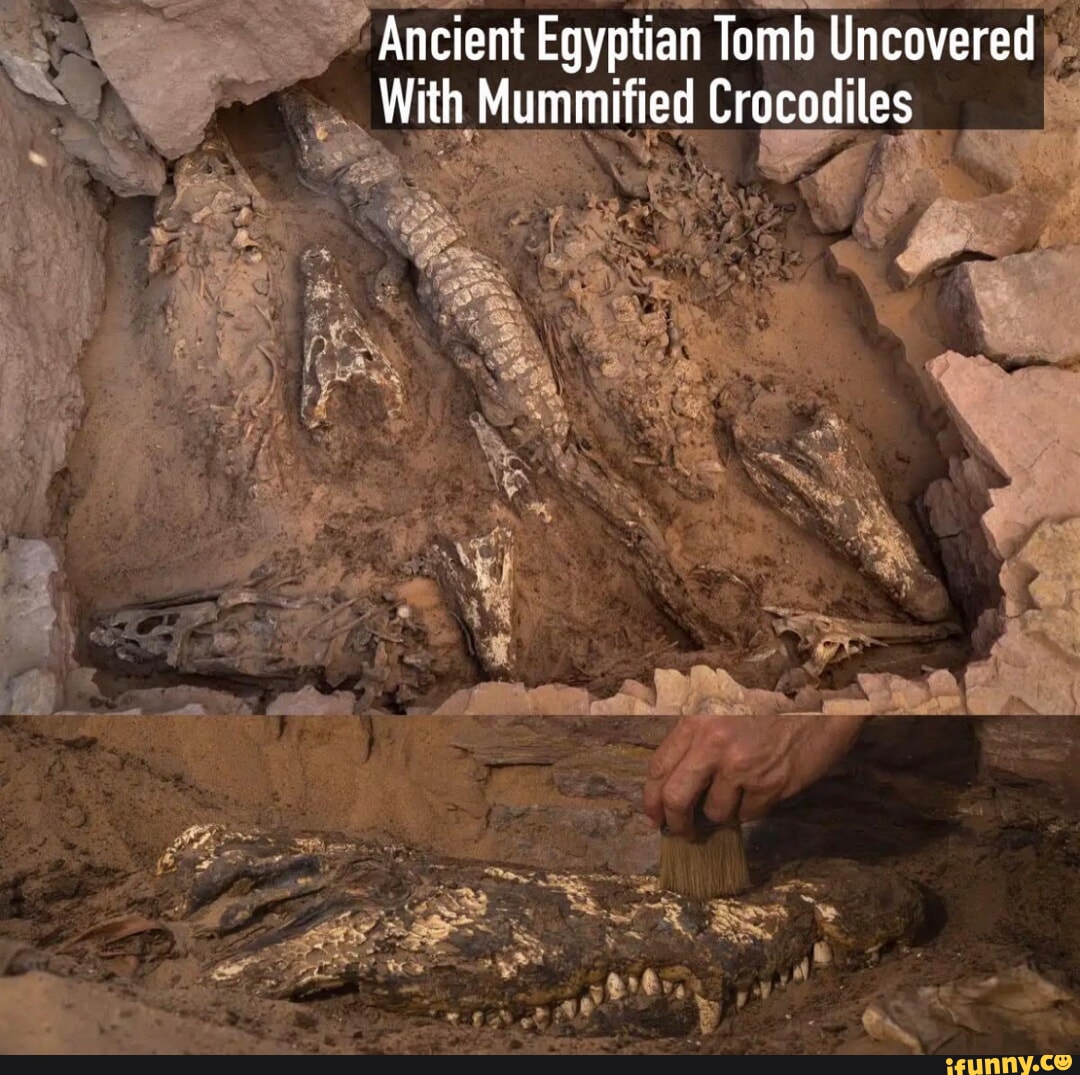 Ancient Egyptian Tomb Uncovered With Mummified Crocodiles - iFunny