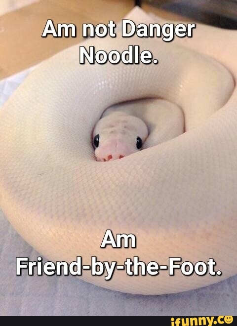 Noodle memes. Best Collection of funny Noodle pictures on iFunny