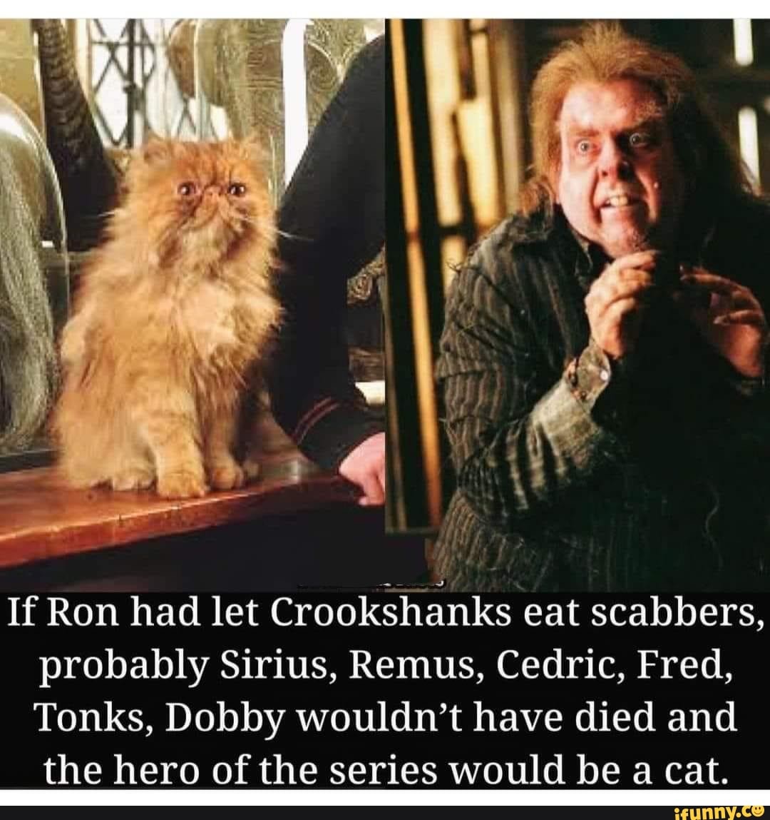 Tonks memes. Best Collection of funny Tonks pictures on iFunny