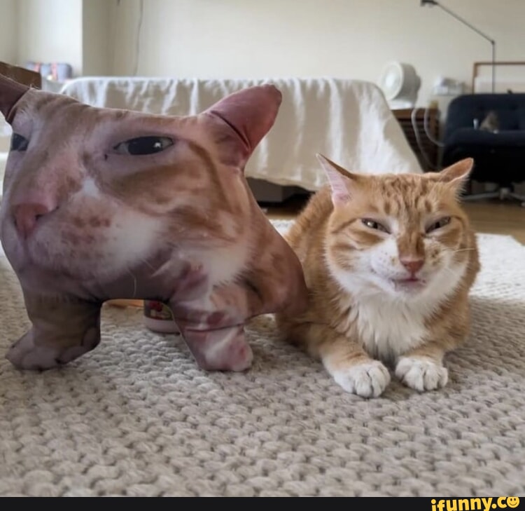 Homunculus memes. Best Collection of funny Homunculus pictures on iFunny