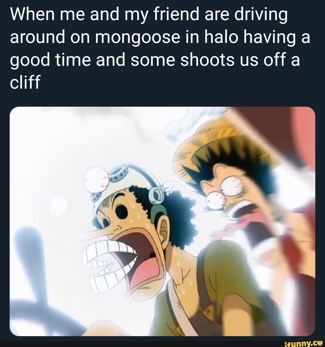 When me and my friend are driving around on mongoose in halo having a ...