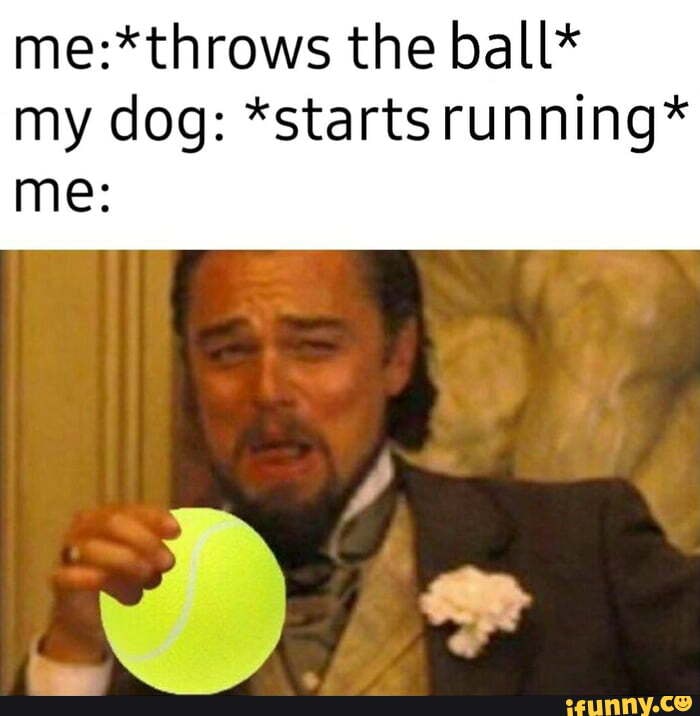 Calvin_candie memes. Best Collection of funny Calvin_candie pictures on ...