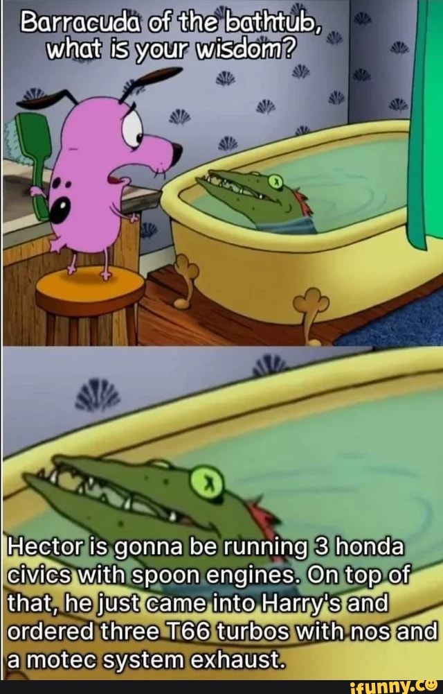 Barracuda of the nathtub, what is your wisdom? Hector is gonna be ...