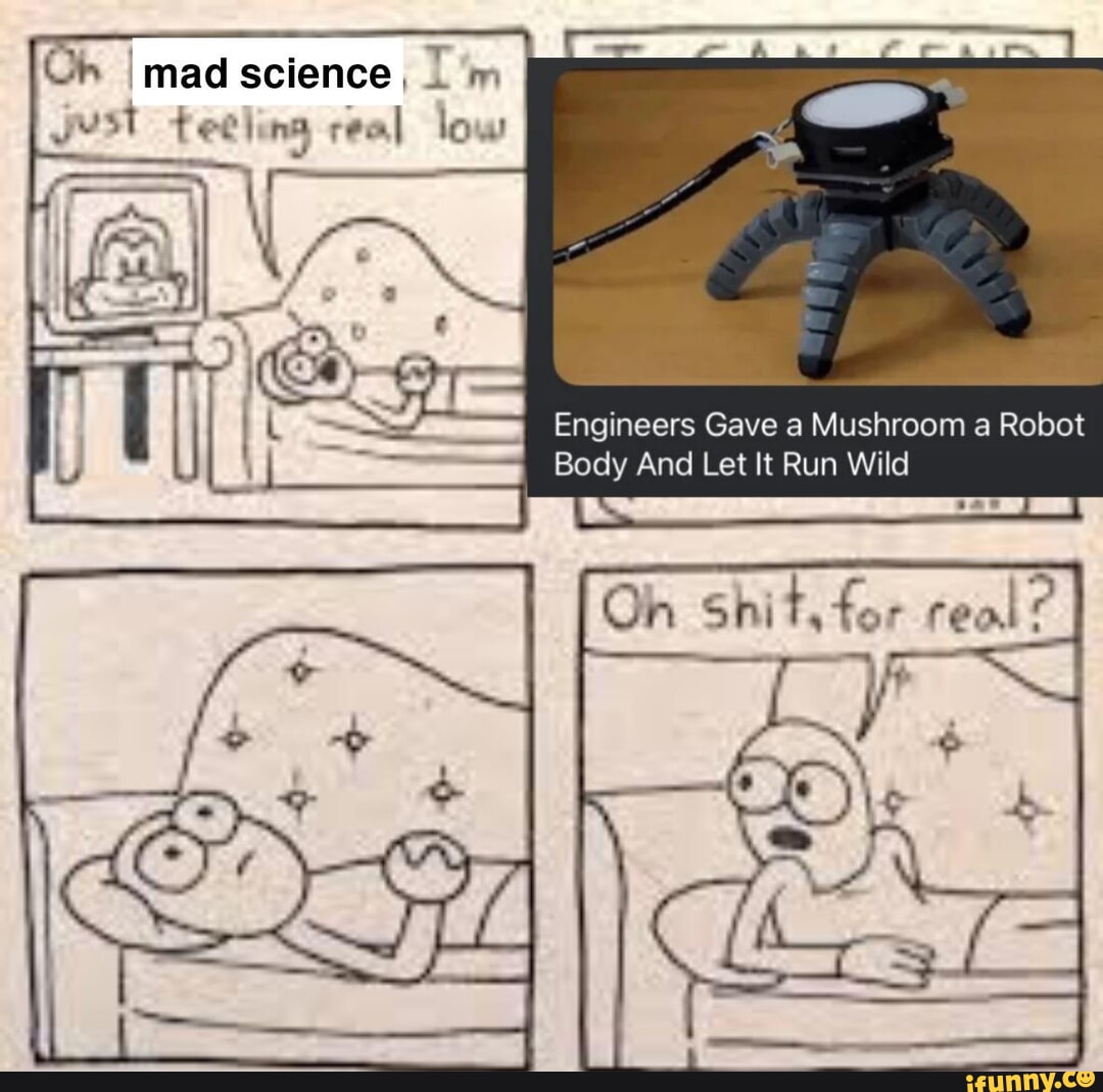 The fun kind of weird still exists The world isnt quite over yet - The ...