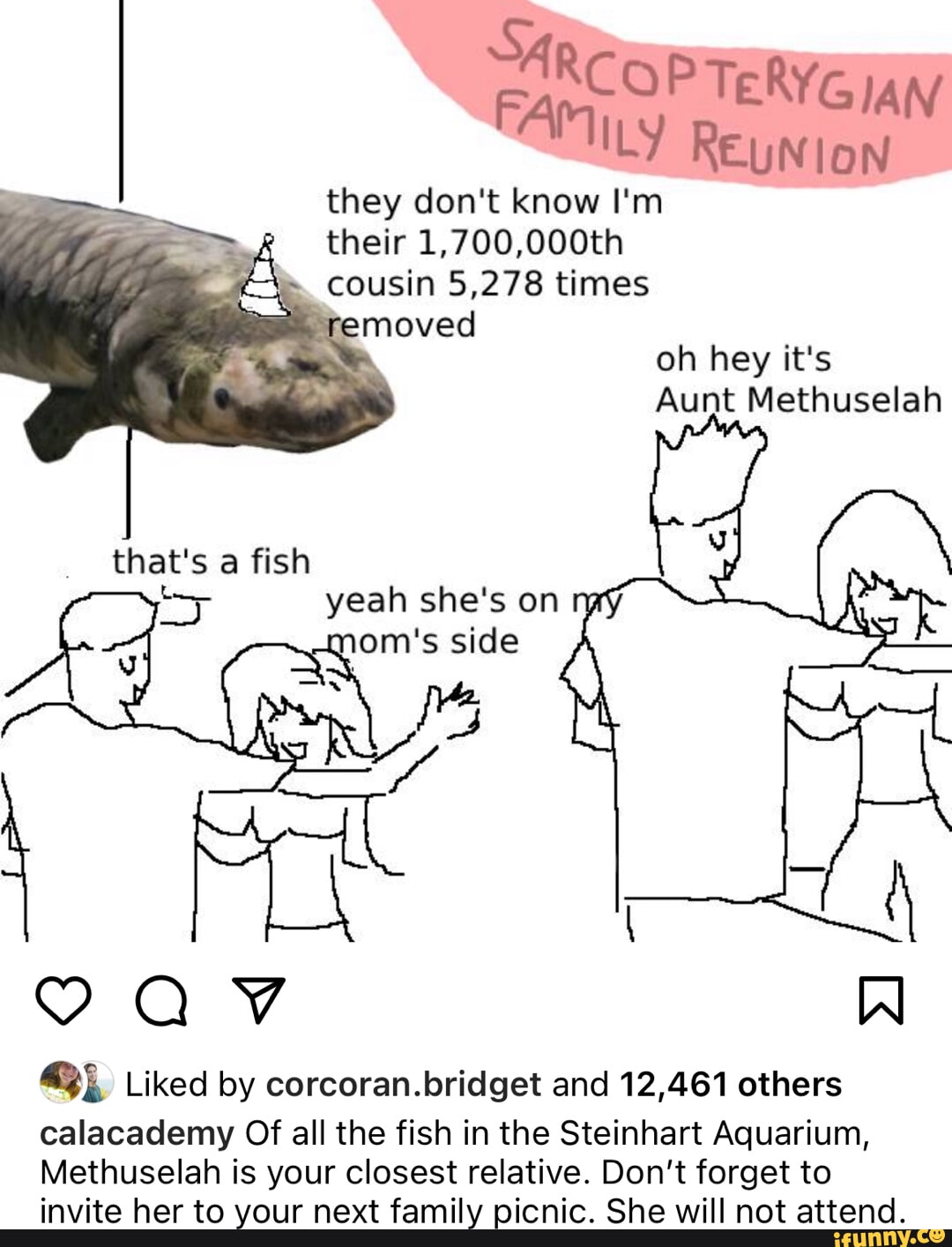 Methuselah memes. Best Collection of funny Methuselah pictures on iFunny