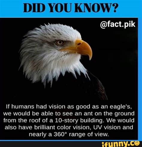 DID YOU KNOW? @fact. pik If humans had vision as good as an eagle's, we ...